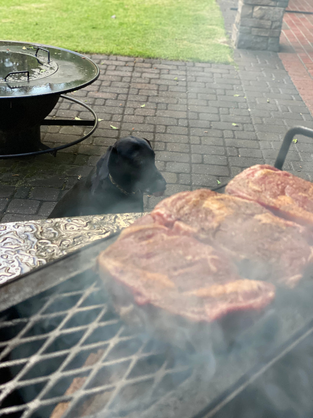 Charcoal Grill | Char Broil BBQ | Custom-Built – Southern Wildlife Co